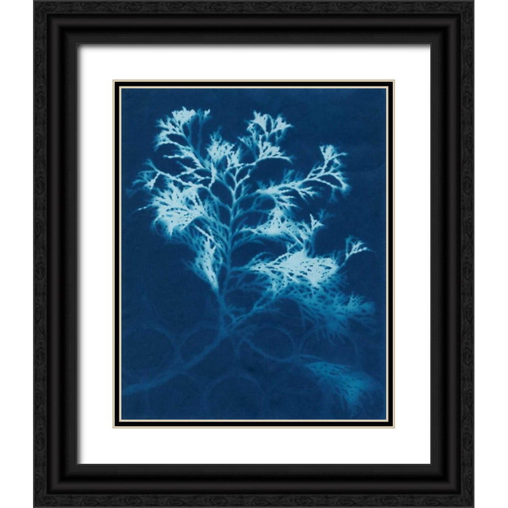 Stramel, Renee W. 12x14 Black Ornate Wood Framed with Double Matting ...