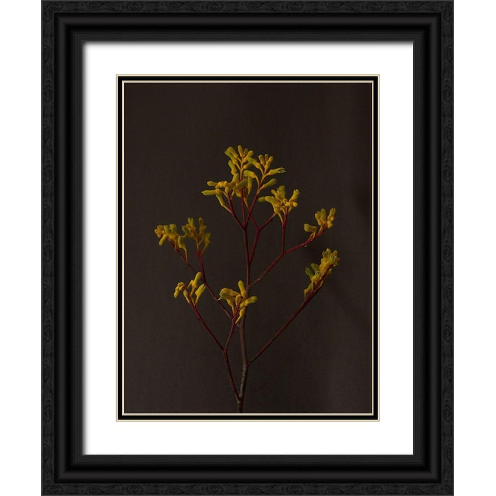 Stramel, Renee W. 12x14 Black Ornate Wood Framed with Double Matting ...