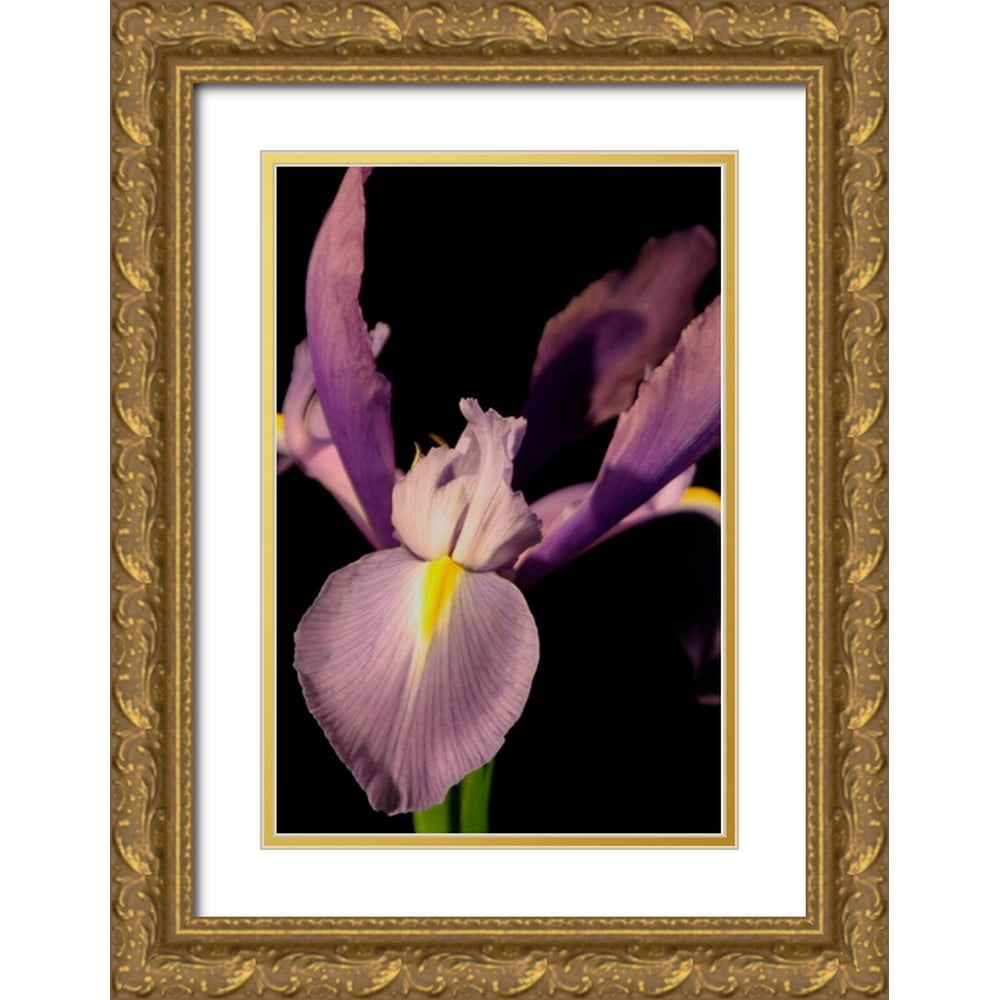 Stramel, Renee W. 17x24 Gold Ornate Wood Framed with Double Matting ...