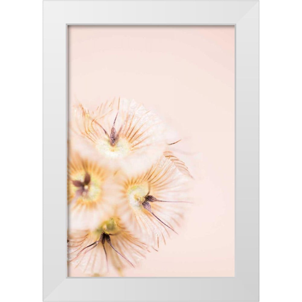 Stramel, Renee W. 17x24 White Modern Wood Framed Museum Art Print ...