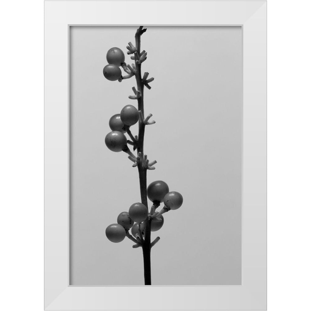 Stramel, Renee W. 17x24 White Modern Wood Framed Museum Art Print ...