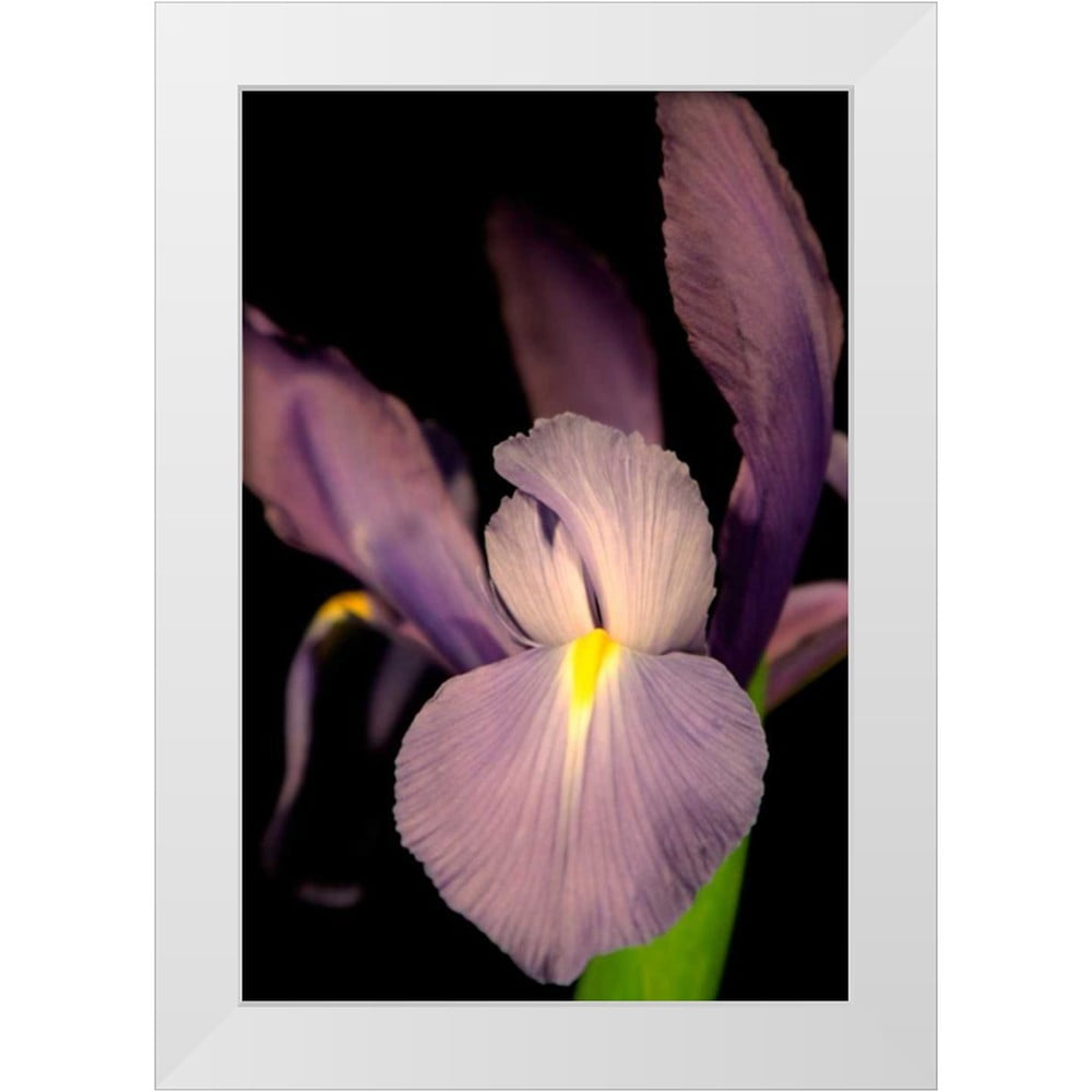 Stramel, Renee W. 17x24 White Modern Wood Framed Museum Art Print ...