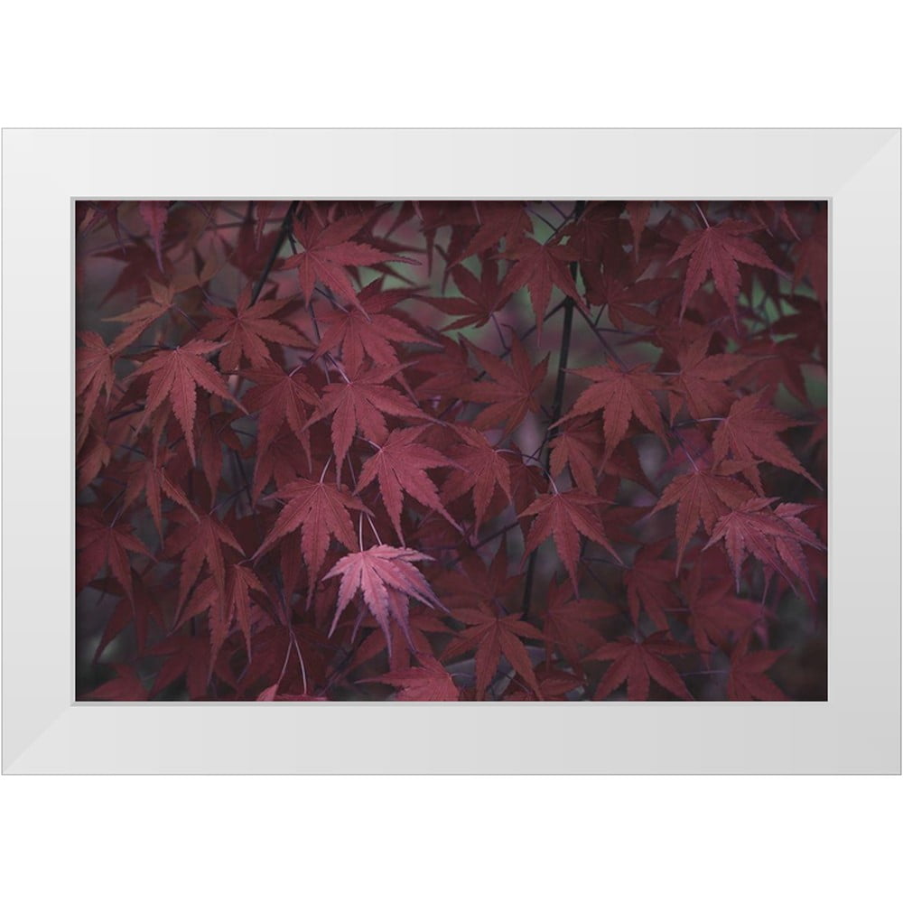 Stramel, Renee W. 18x13 White Modern Wood Framed Museum Art Print ...