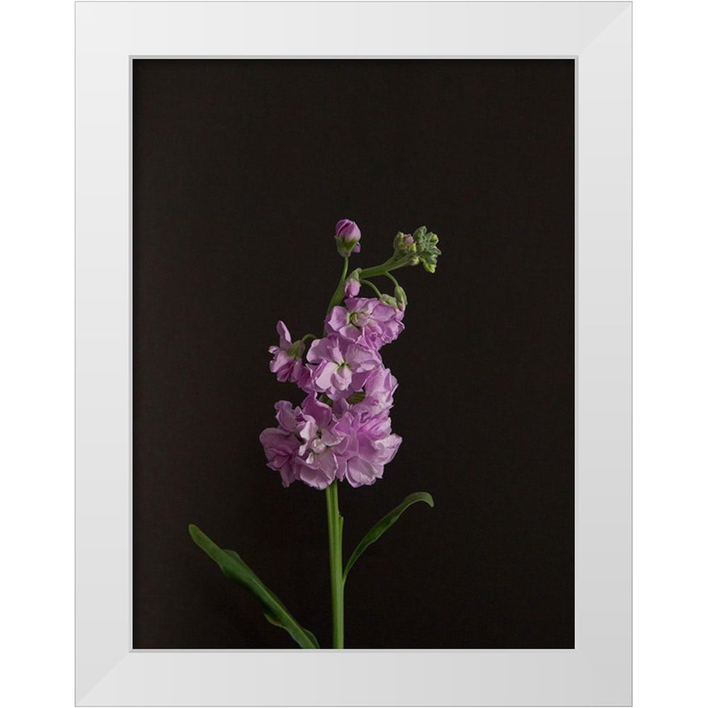 Stramel, Renee W. 19x24 White Modern Wood Framed Museum Art Print ...