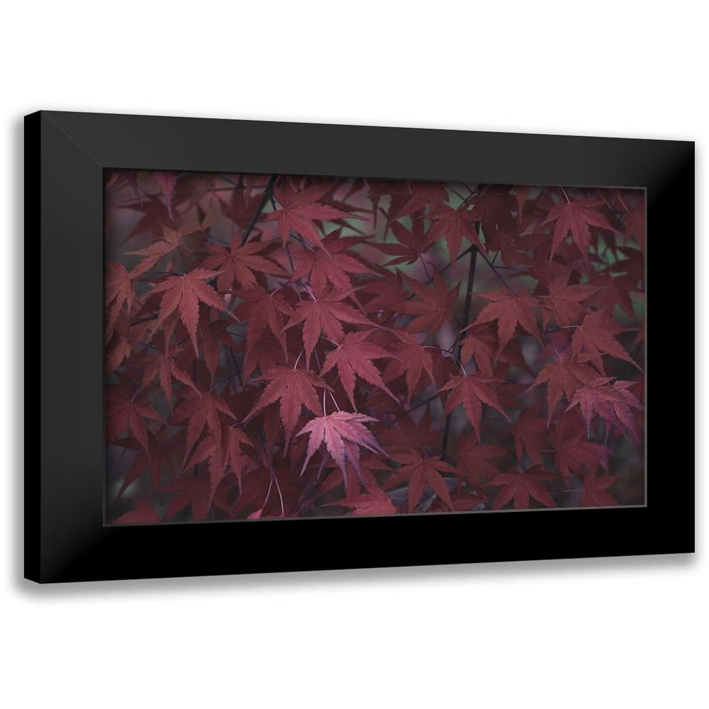 Stramel, Renee W. 24x17 Black Modern Framed Museum Art Print Titled ...