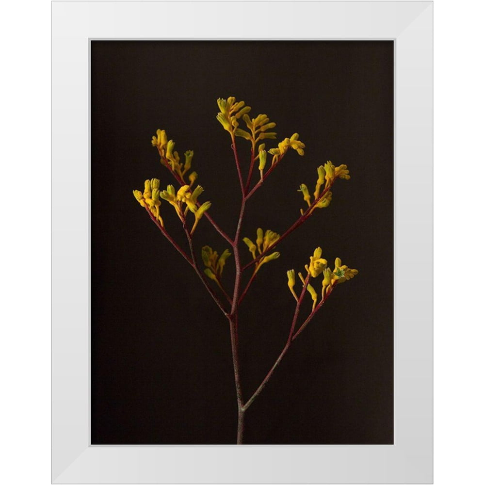 Stramel, Renee W. 25x32 White Modern Wood Framed Museum Art Print ...