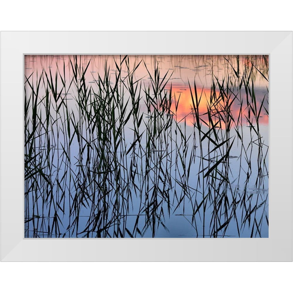 Strand, Hans 32x25 White Modern Wood Framed Museum Art Print Titled ...