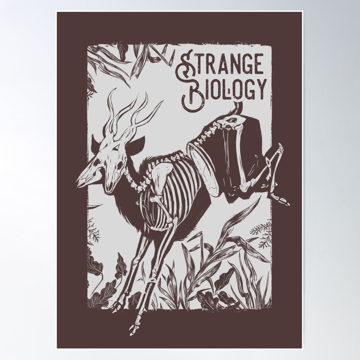 Strange Biology Antelope Skeleton - Offwhite Poster Wall Art, Modern ...