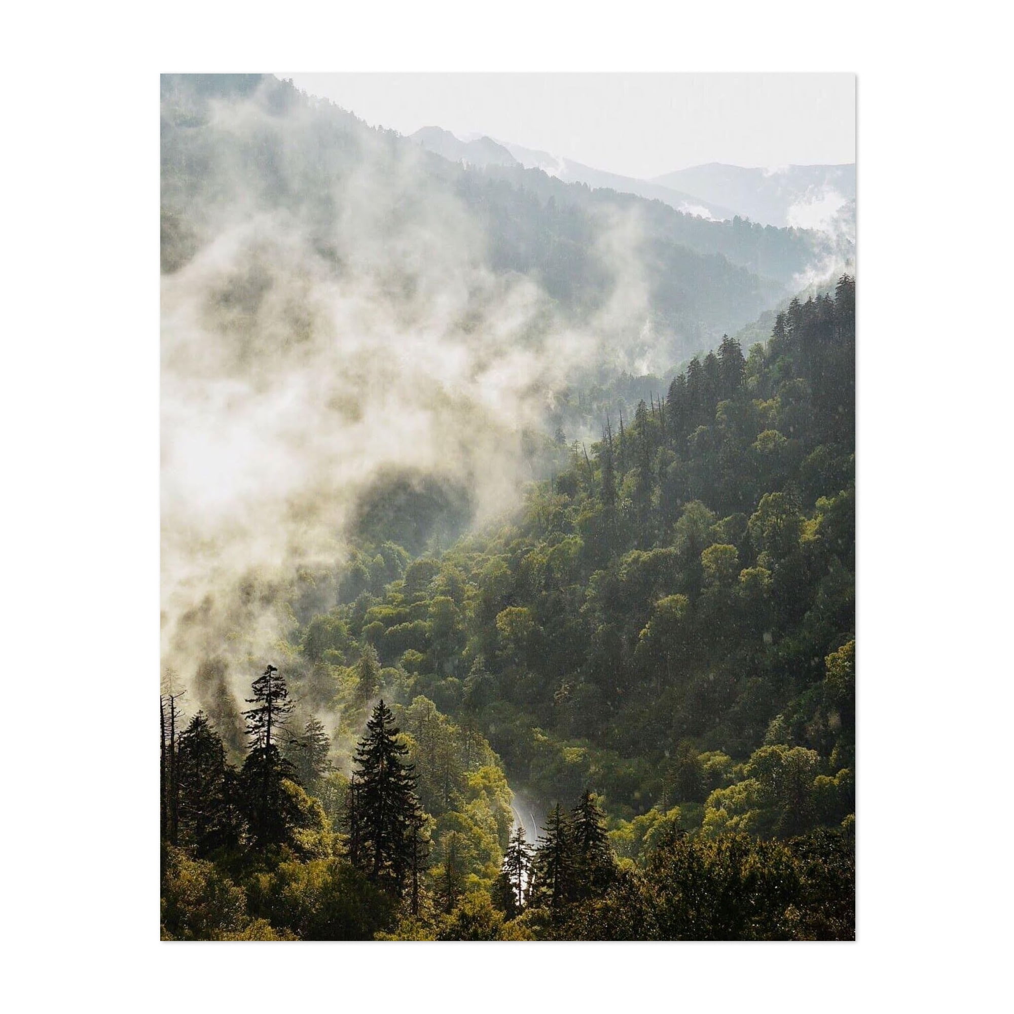 Strange Clouds - Photography Forest Nature Landscape Mountain Scenic ...