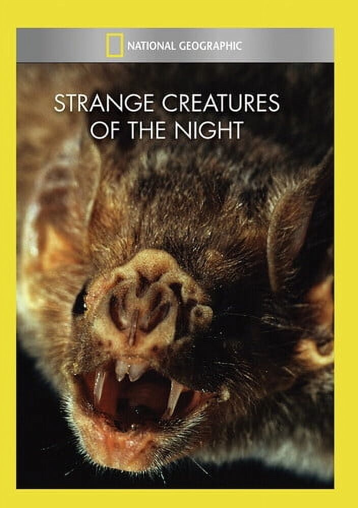 Strange Creatures of the Night (DVD), National Geographic, Documentary ...