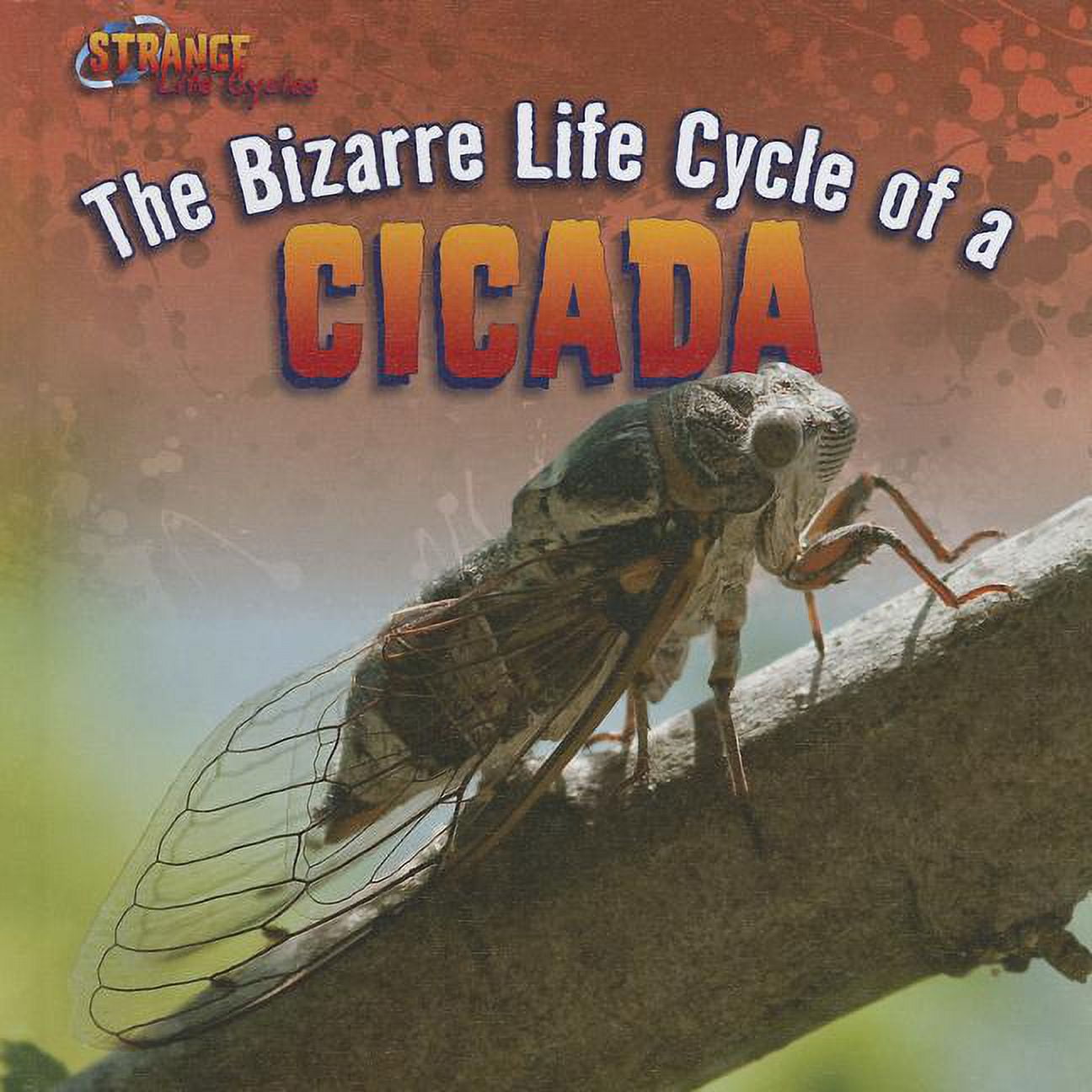 Strange Life Cycles: The Bizarre Life Cycle of a Cicada (Hardcover ...