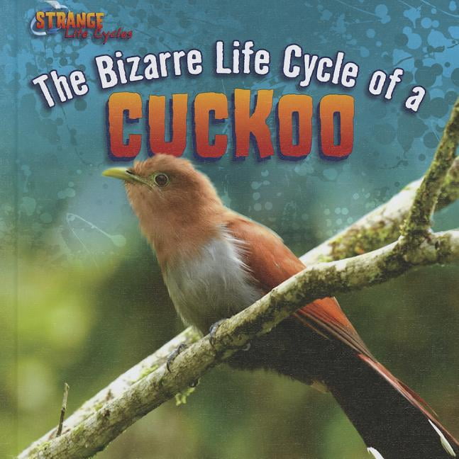 Strange Life Cycles: The Bizarre Life Cycle of a Cuckoo (Hardcover ...