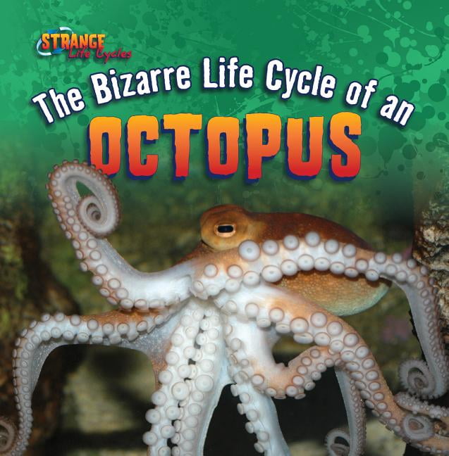 Strange Life Cycles: The Bizarre Life Cycle of an Octopus (Hardcover ...