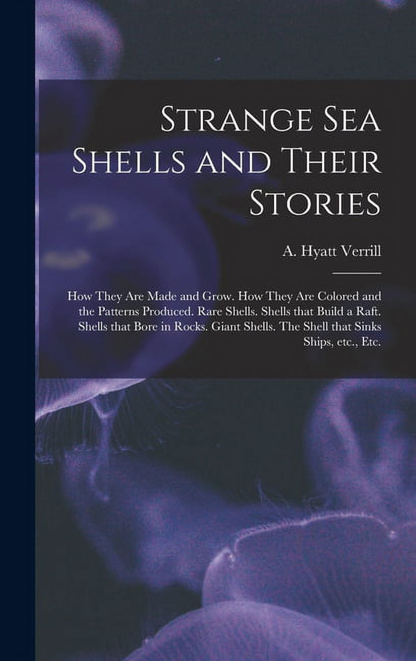 Strange Sea Shells and Their Stories: How They Are Made and Grow. How ...