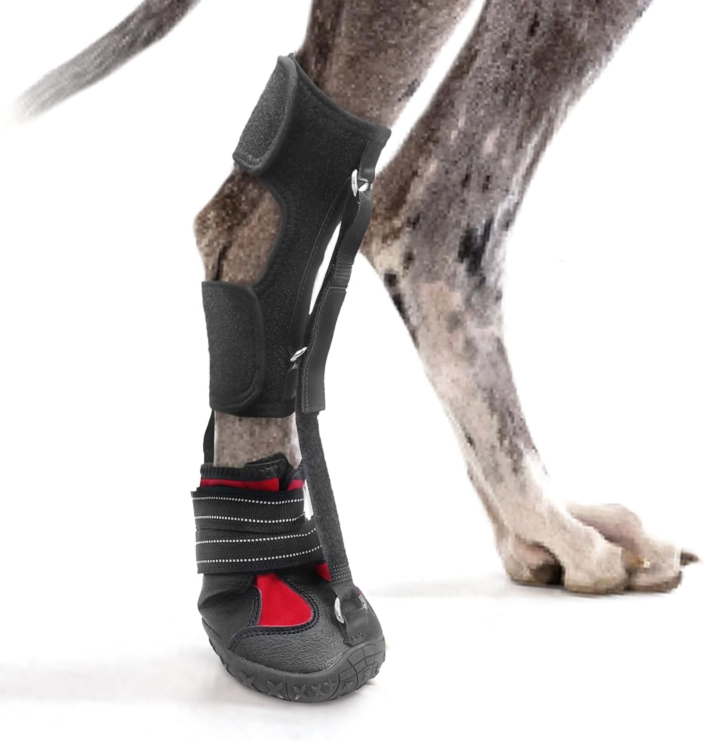 Strap-On Drop Foot Brace (No Knuckling Boot Brace) for Dogs— Corrective ...