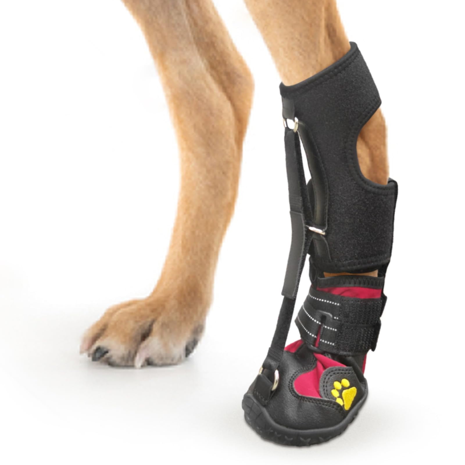 Strap-On Drop Foot Brace (No Knuckling ITL1 Boot Brace) for Dogs ...