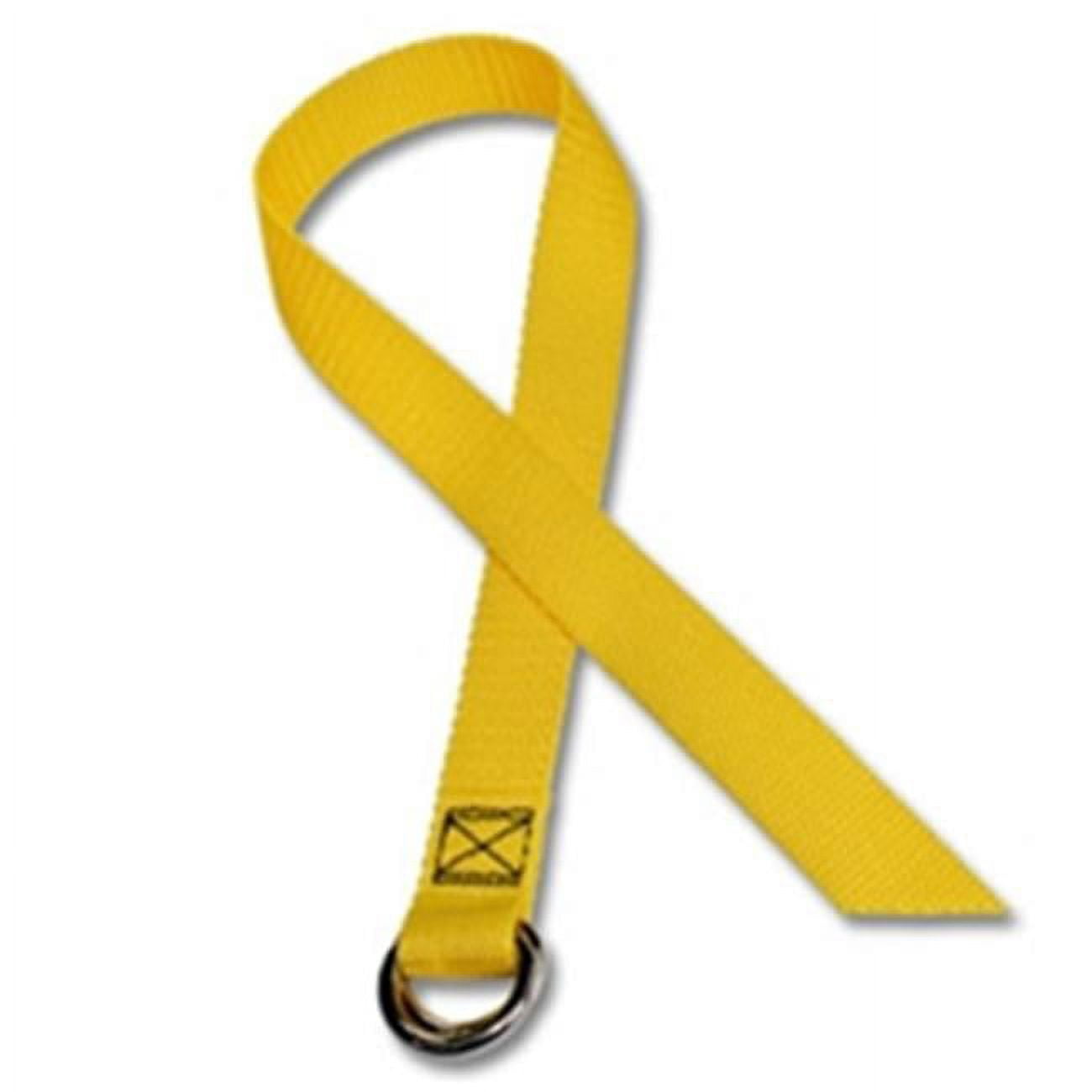 Strapworks DDS1H-6FT 1 W inch Basic Line Heavyweight Polypropylene ...