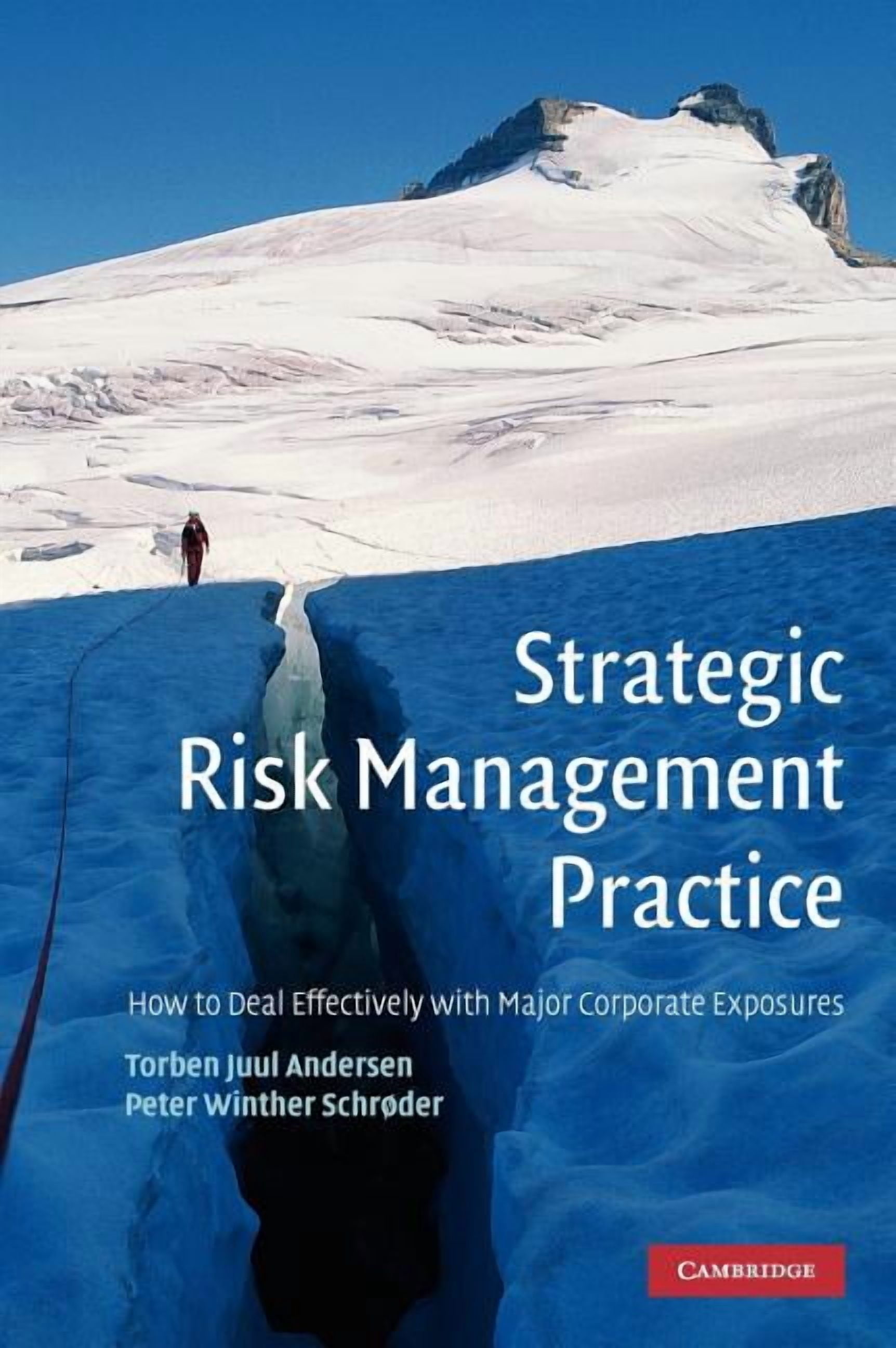 Strategic Risk Management Practice: How to Deal Effectively with Major ...