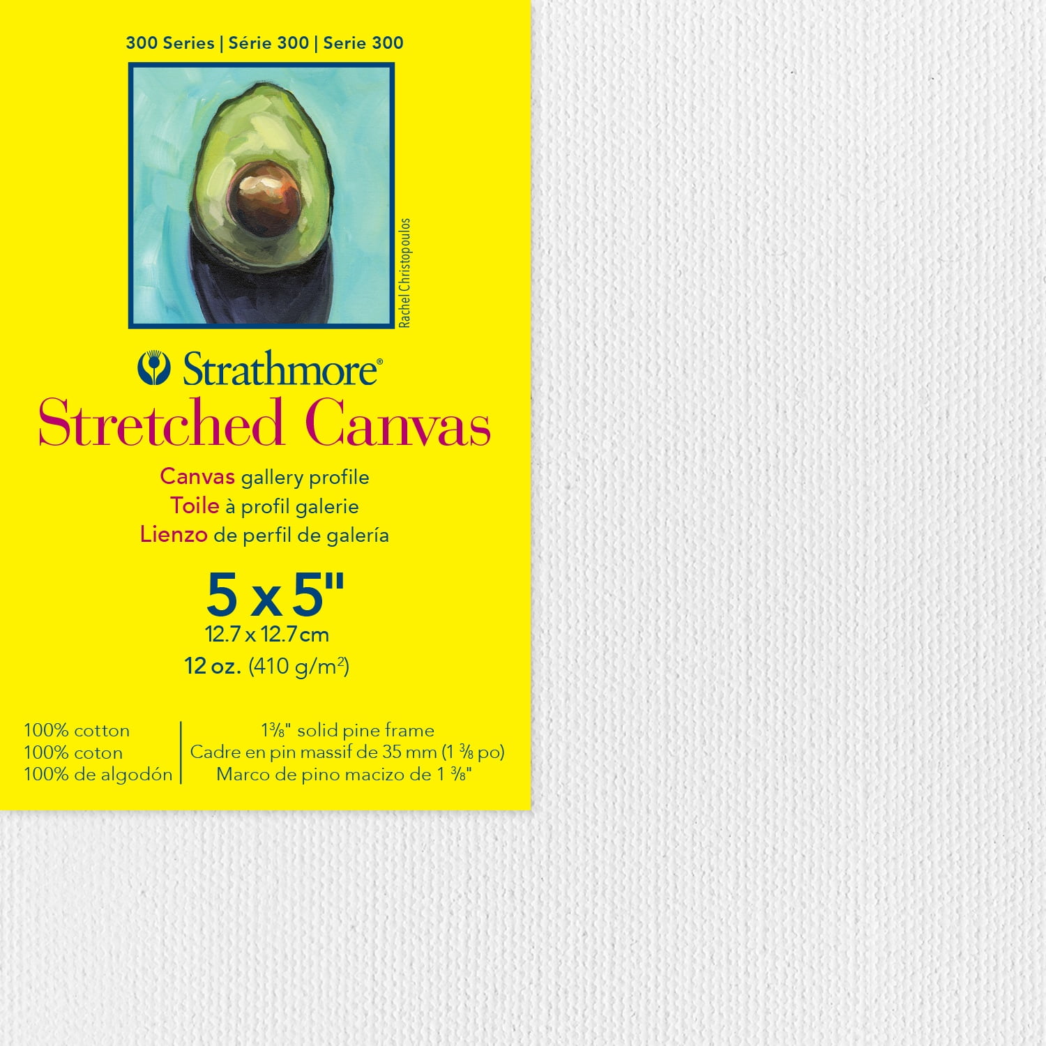 Strathmore 300 Series Gallery Stretch Canvas-5"X5" - Walmart.com