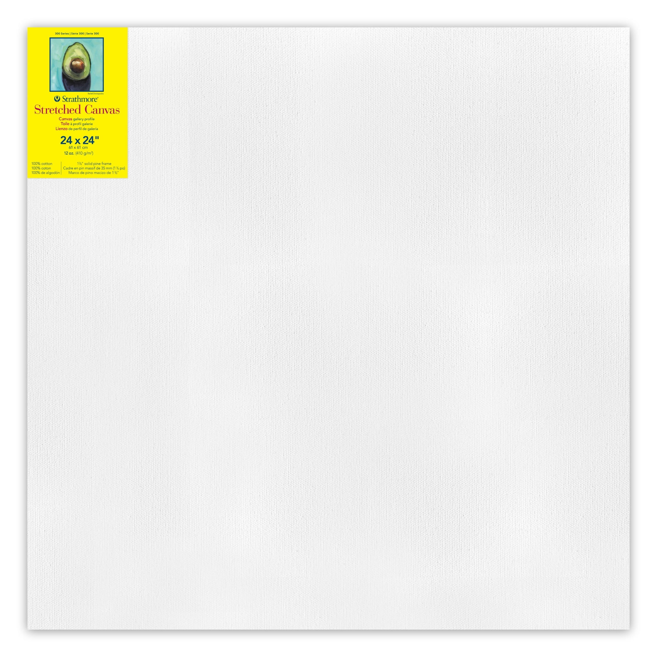 Strathmore 300 Series Gallery Stretched Canvas, 24x24 inch - Walmart.com