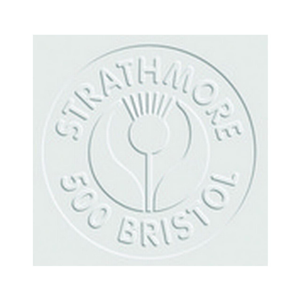 Strathmore 500 Series Vellum Surface Bristol Sheet, 23 x 29 Inches ...