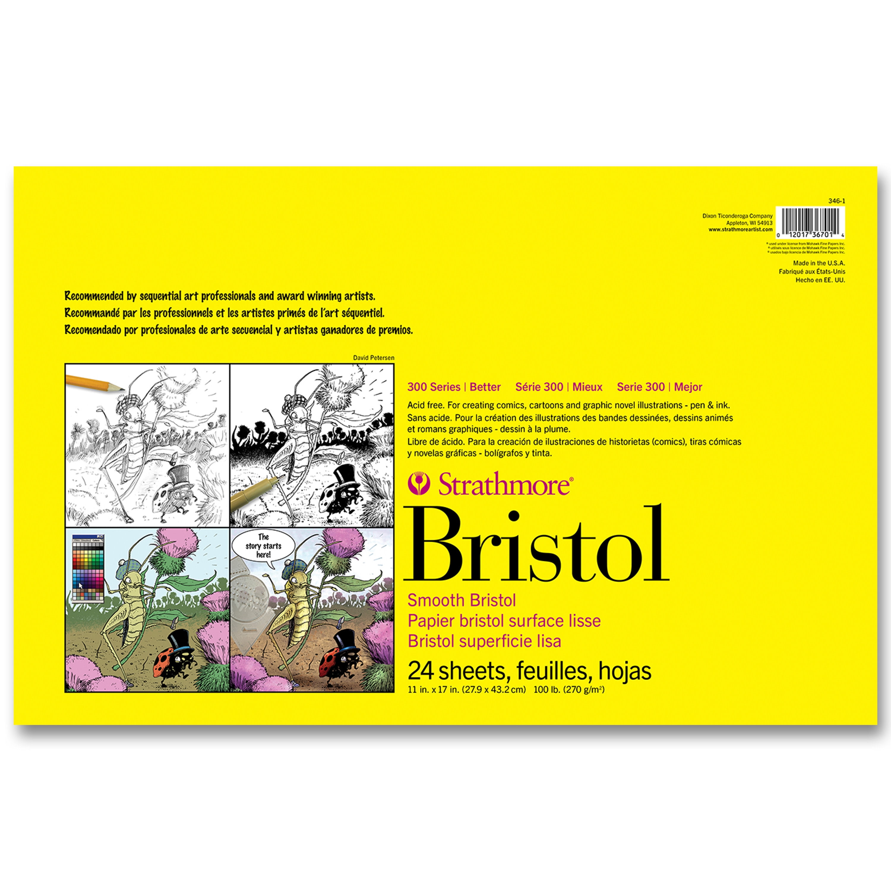 Strathmore 300 Series Bristol Paper, 11 x 17 Inches, 100 lb, 24 Sheets ...
