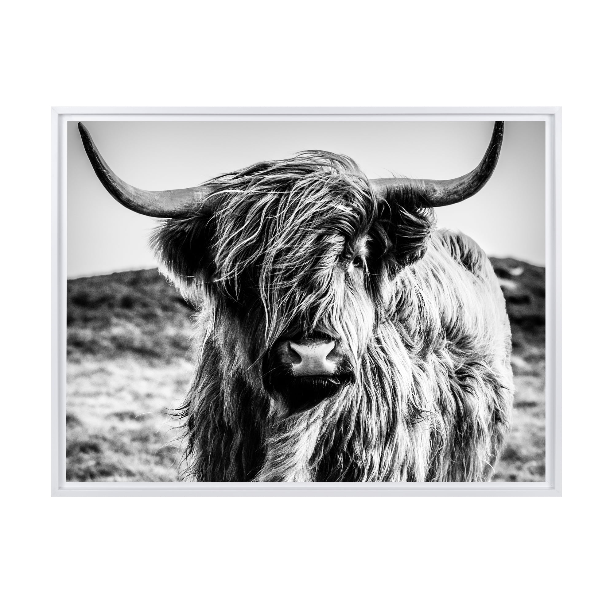 Stratton Home Decor Black and White Highland Cow Framed Canvas Wall Art ...