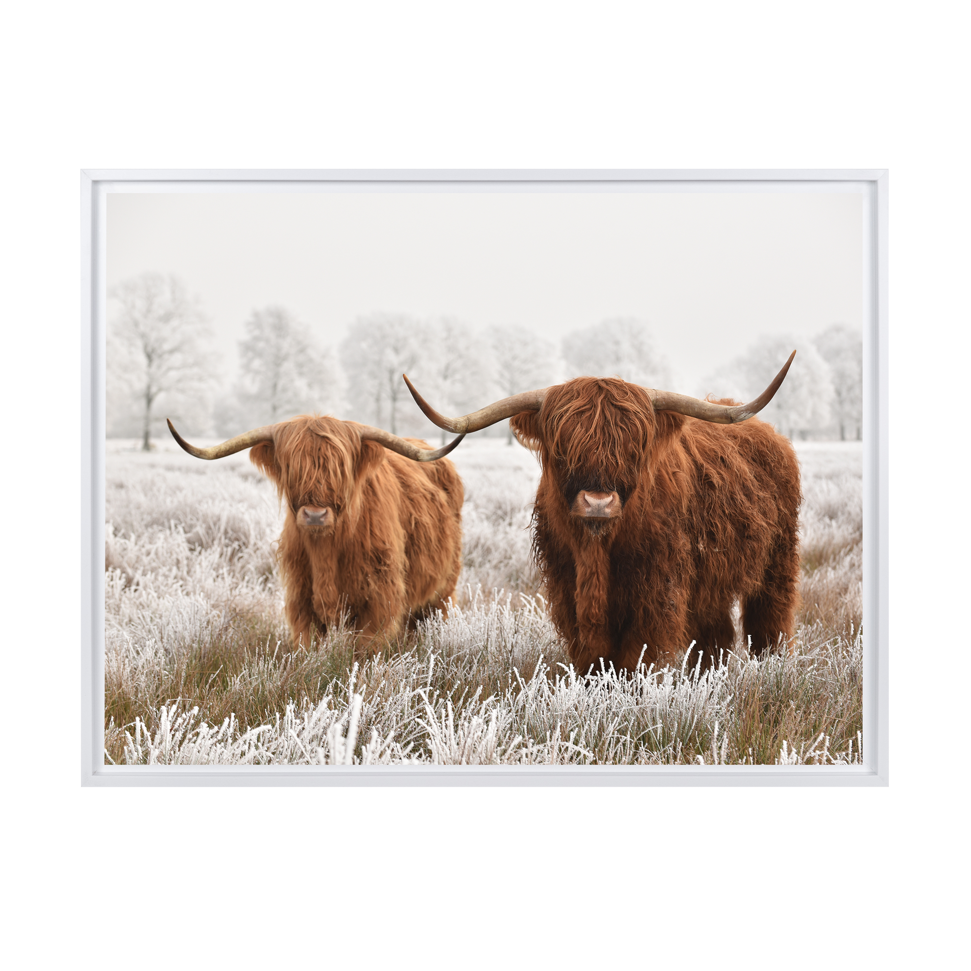 Stratton Home Decor Highland Cattle Framed Canvas Wall Art - Walmart.com