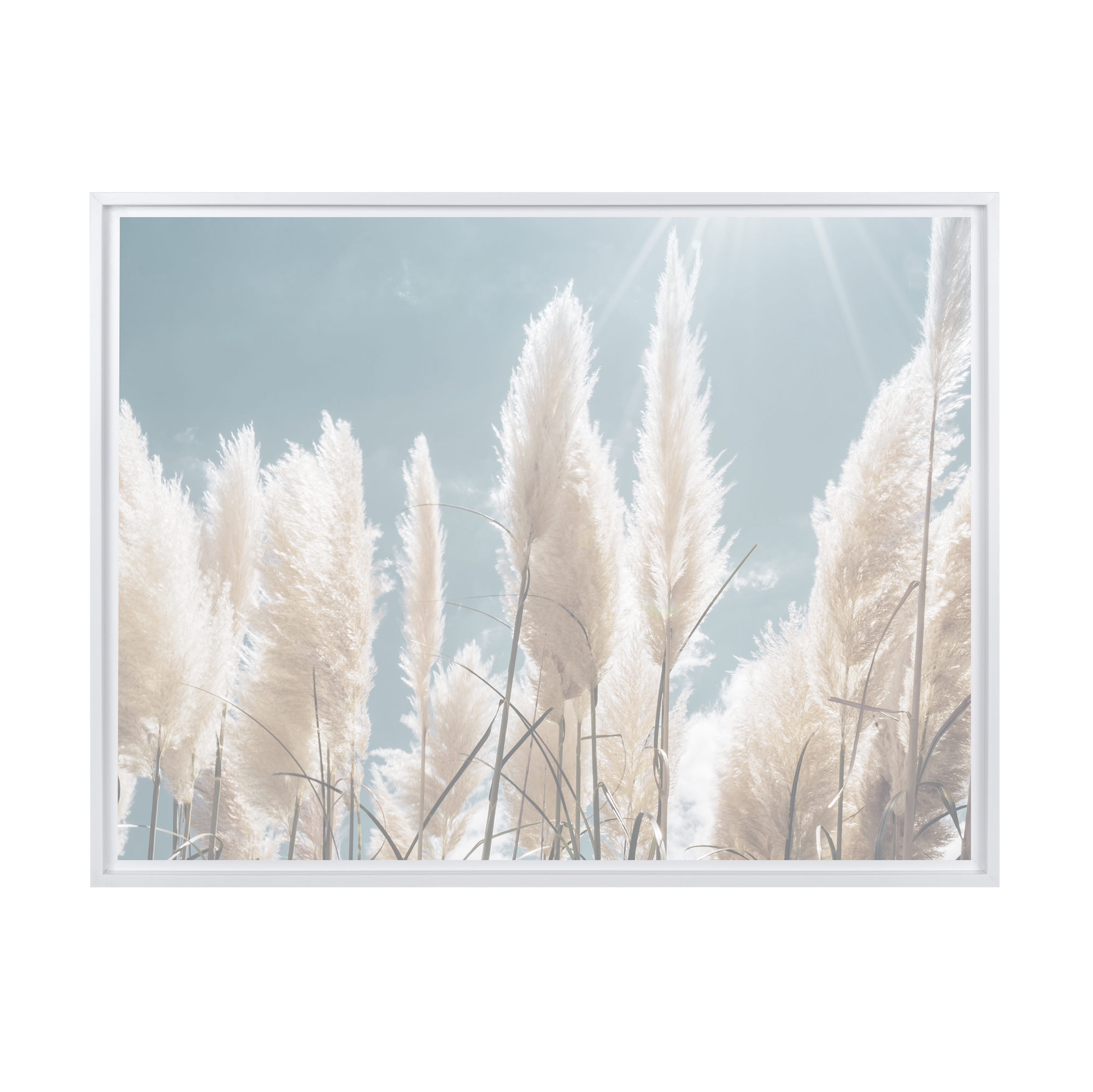 Stratton Home Decor Tall Pampas Grass Framed Canvas Wall Art - Walmart.com