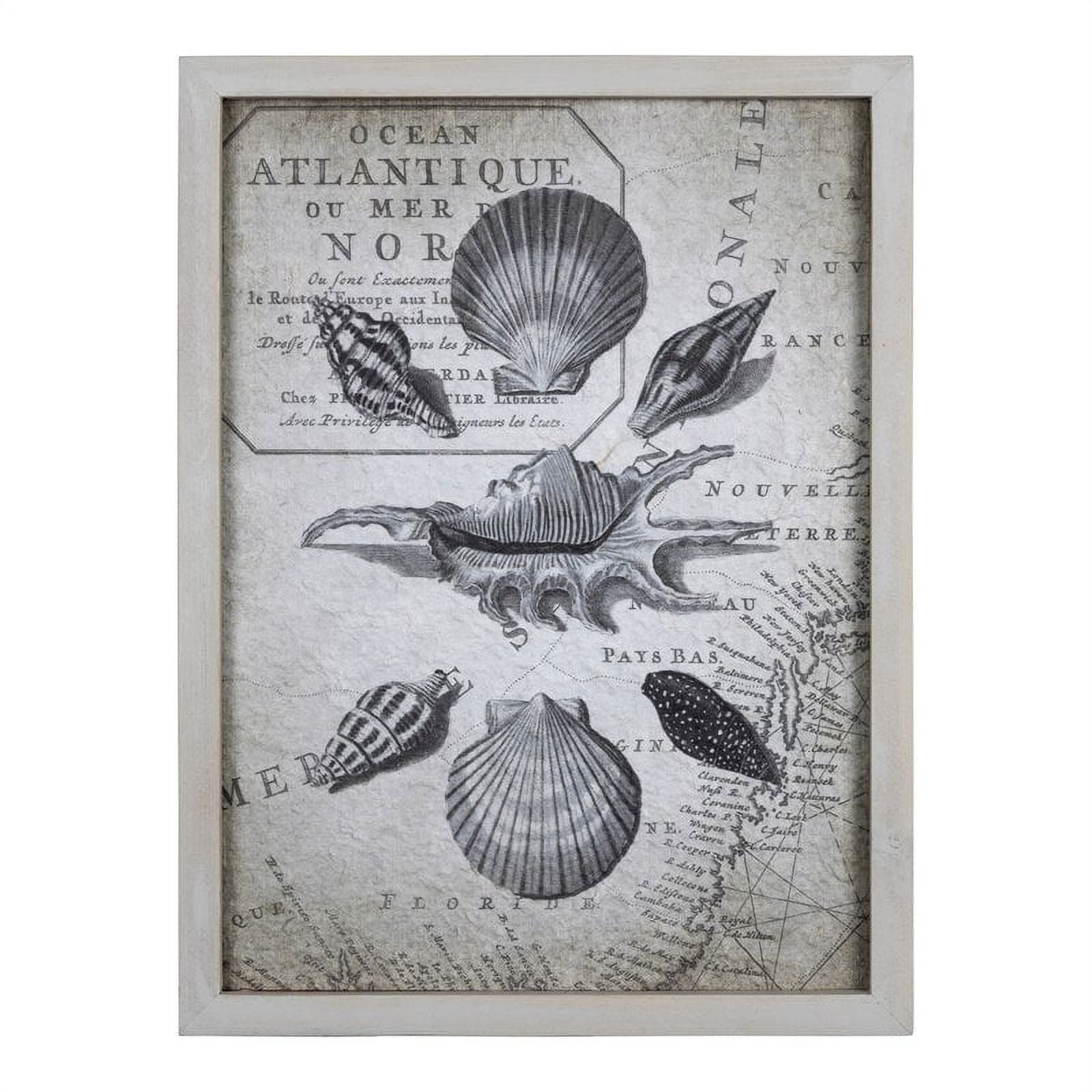 Stratton Home Décor Stratton Home Decor Coastal Textured Vintage Shells ...