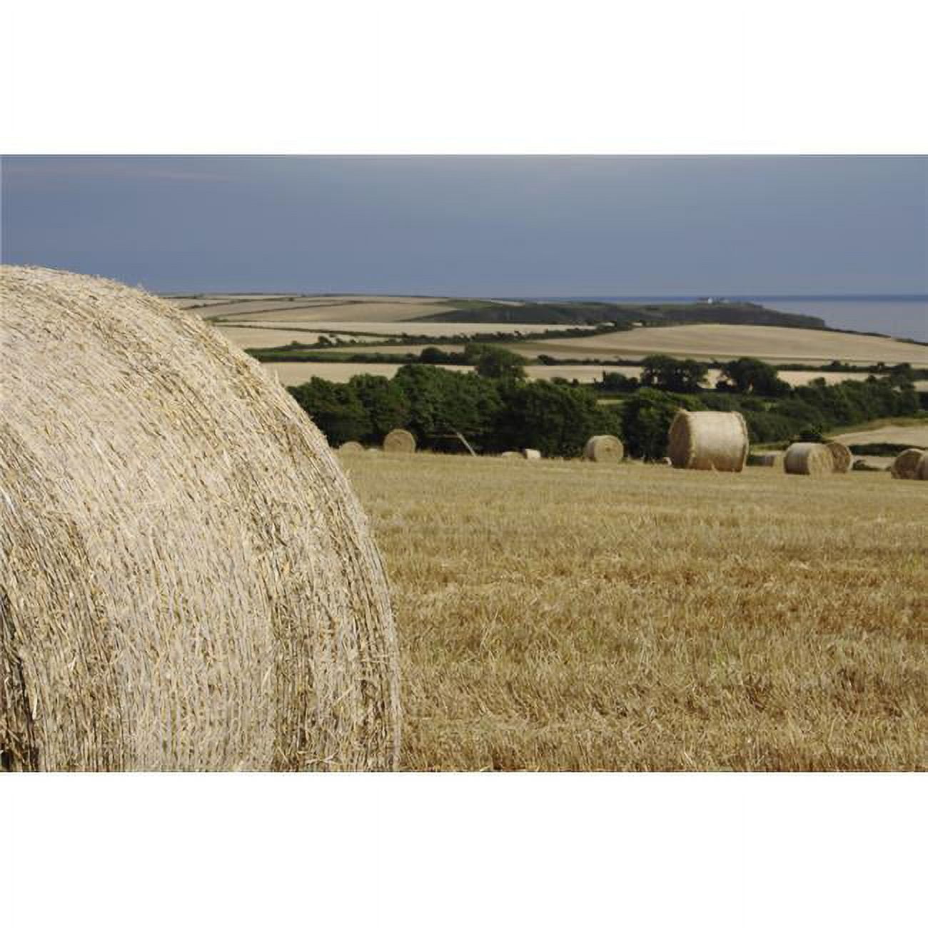 Straw Bales In A Field In East Cork In Munster Region - Guileen, County ...