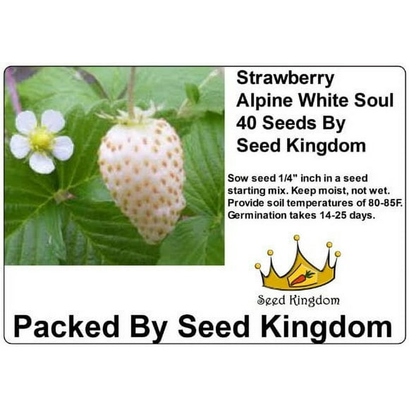 Strawberry Seeds in Seed Gardening - Walmart.com