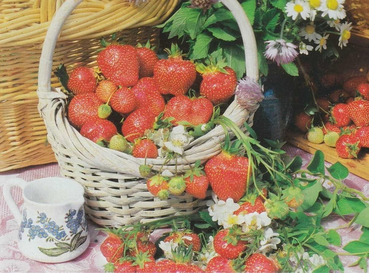 Strawberry Basket Jigsaw Puzzles for Adults 500 Pieces Fun Educational ...