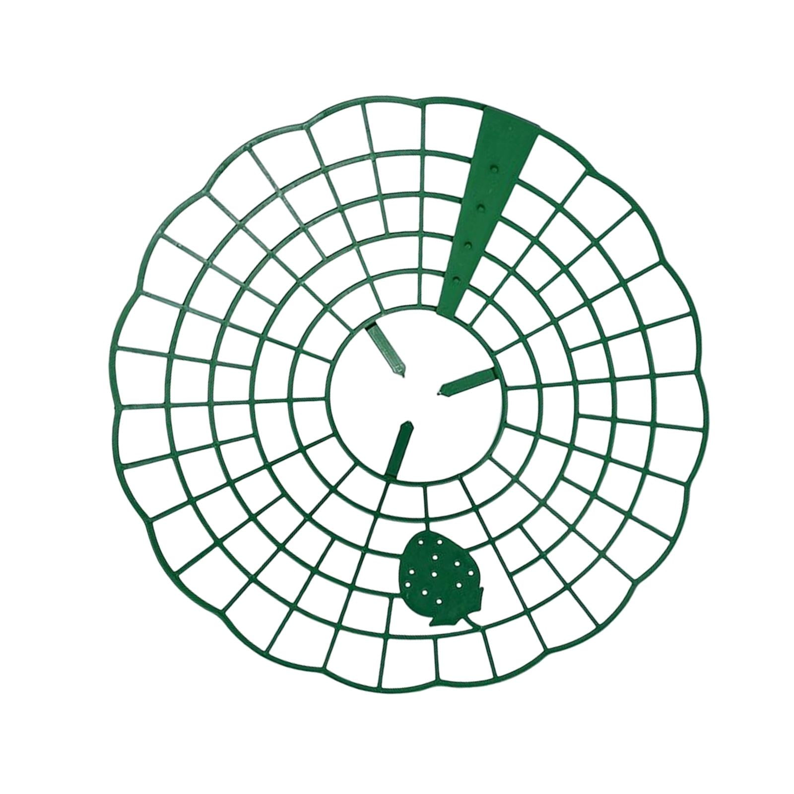 Strawberry Cage Protection, Strawberry Plant Stand, Strawberry Planting ...