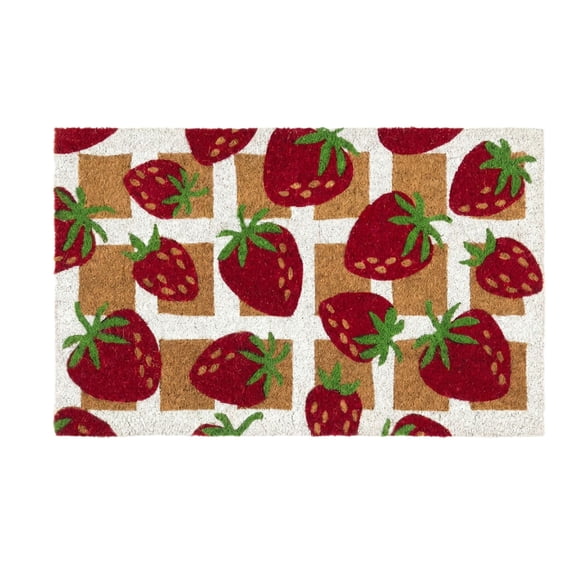 Strawberry Checkered Doormat Cute Red Fruit Welcome Non Slip Dirt ...