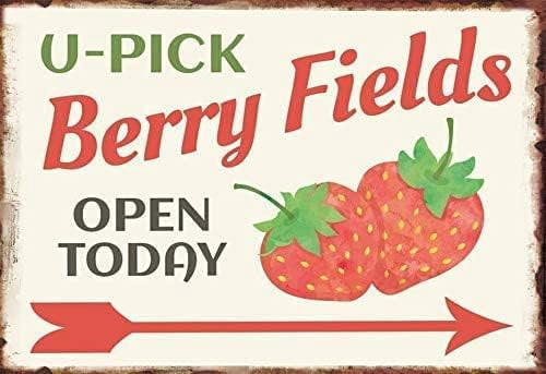 Strawberry Decor Aluminum Sign Farm Fruit Shop Supermarket Tin ...