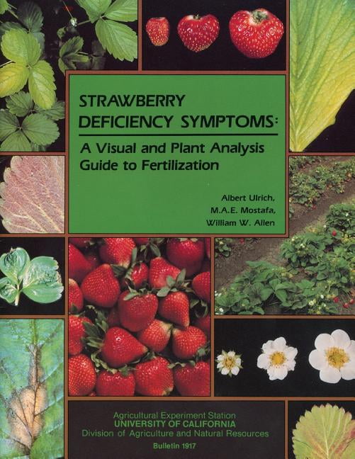 Strawberry Deficiency Symptoms, (Paperback) - Walmart.com