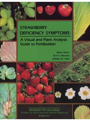 Strawberry Deficiency Symptoms : A Visual and Plant Analysis Guide to ...