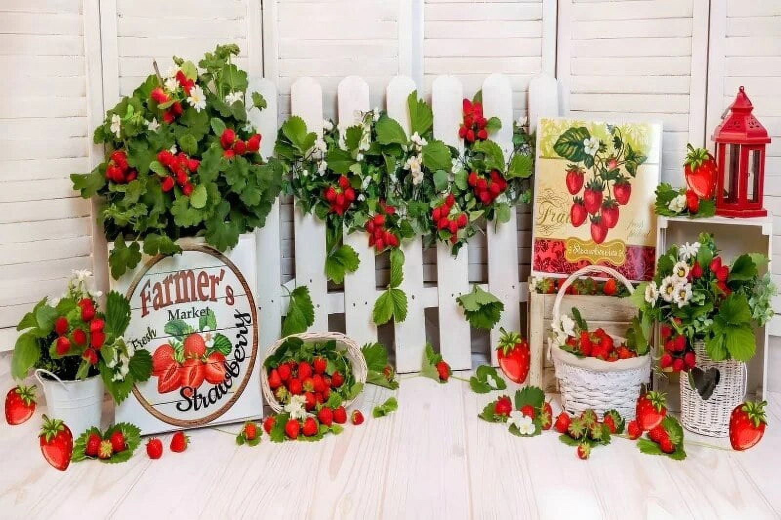 Strawberry Farmers Market Photo Backdrop Summer Fruit Birthday Cake ...