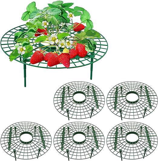 Strawberry Frame Set of 5 - Adjustable Strawberry Stand with 4 Legs ...
