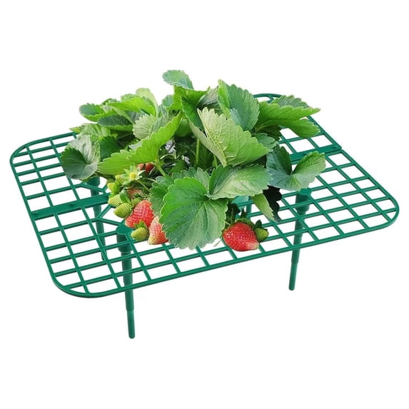Strawberry Growing Stand, Strawberry Support, Keeps Strawberry Plants ...