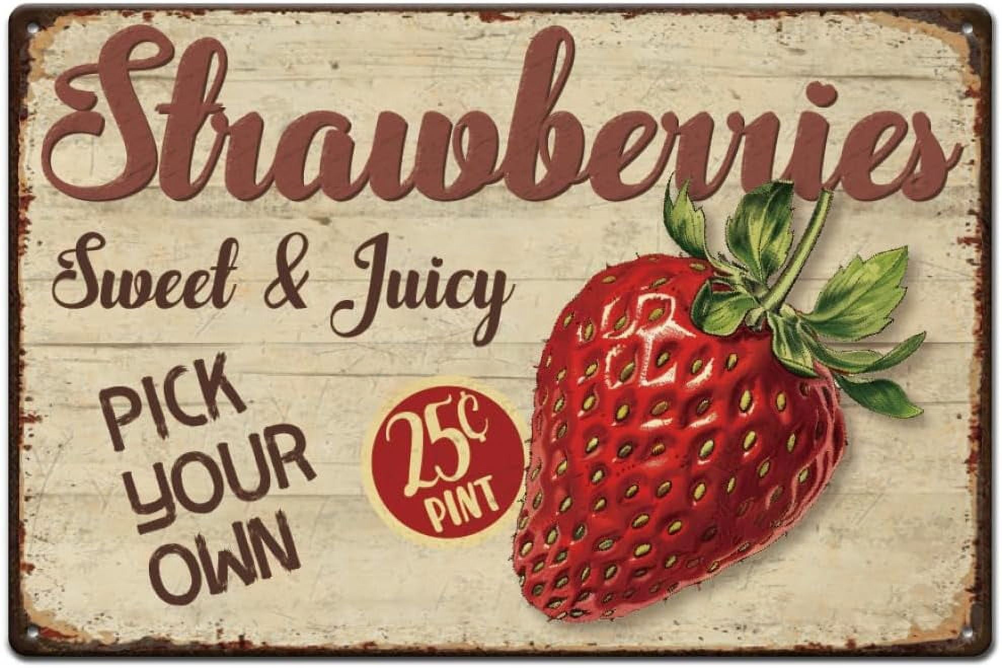 Strawberry Metal Tin Sign Pick Your Own Metal Signs Retro Fruits Wall ...