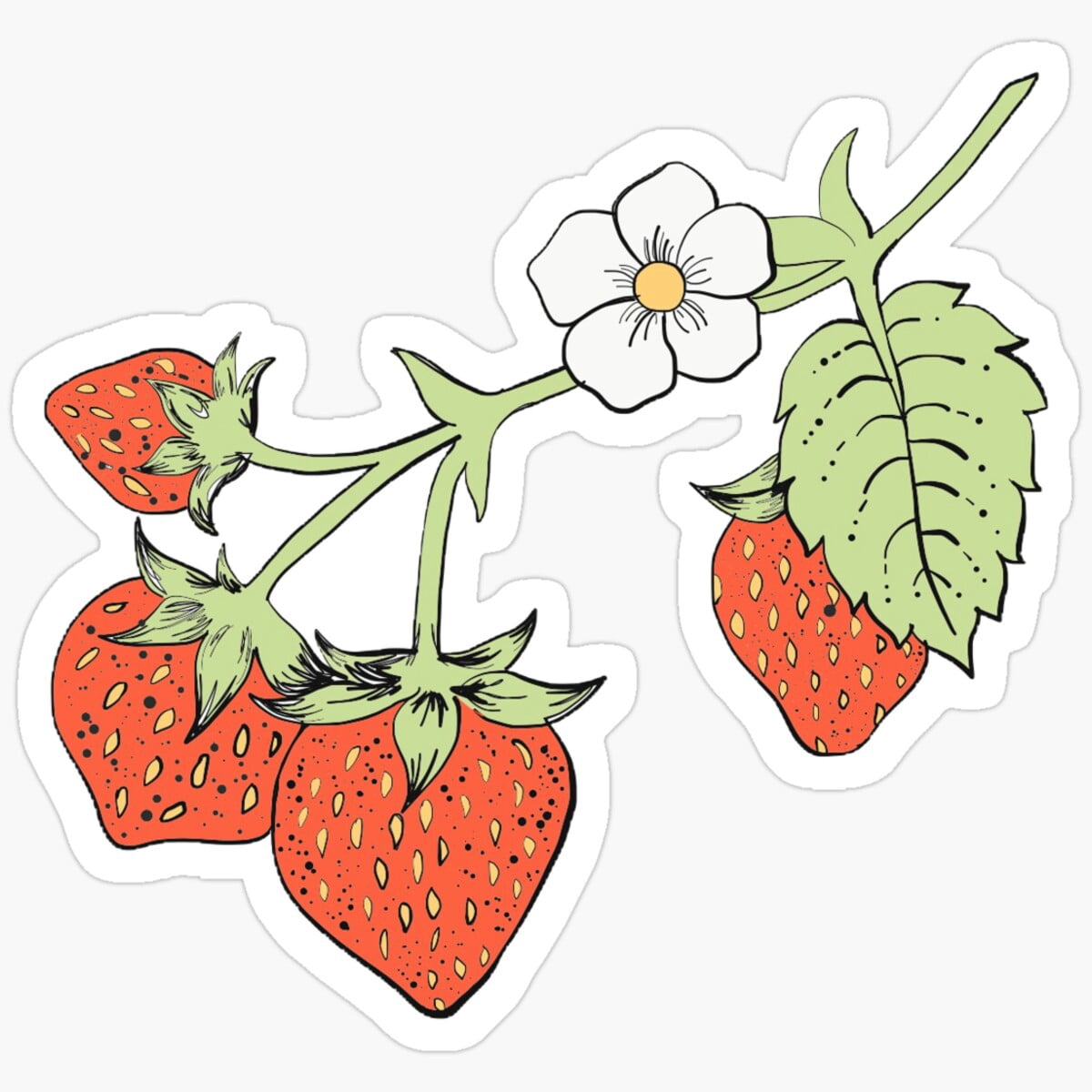 Strawberry Plant Sticker Sticker. Gift For You - Decorate Laptops ...
