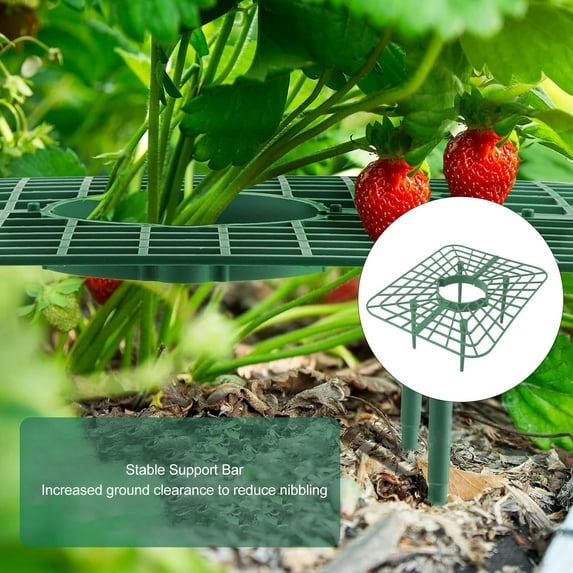 Strawberry Plant Support Rack, Detachable, Waterproof PP For Indoor ...