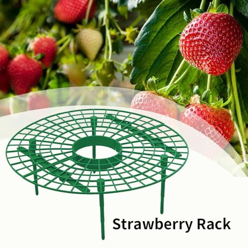 Strawberry Plant Support, Strawberry Supports Strawberry Trellis ...