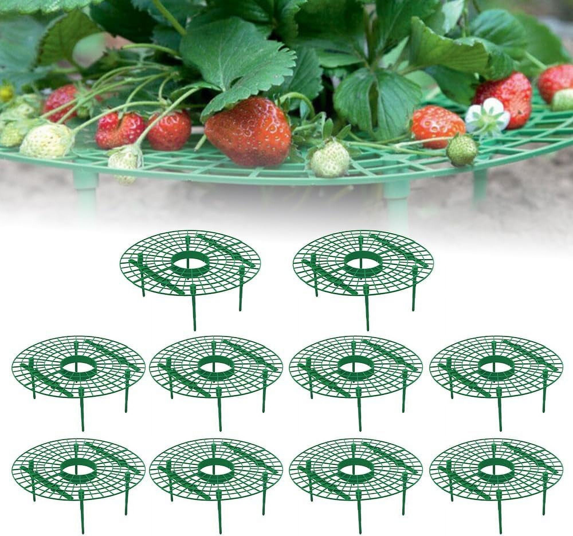 Strawberry Plant Support, Strawberry Supports Strawberry Trellis ...