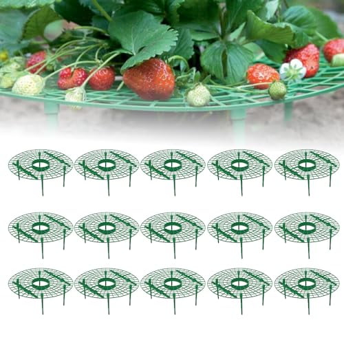 Strawberry Plant Support, Strawberry Supports Strawberry Trellis ...
