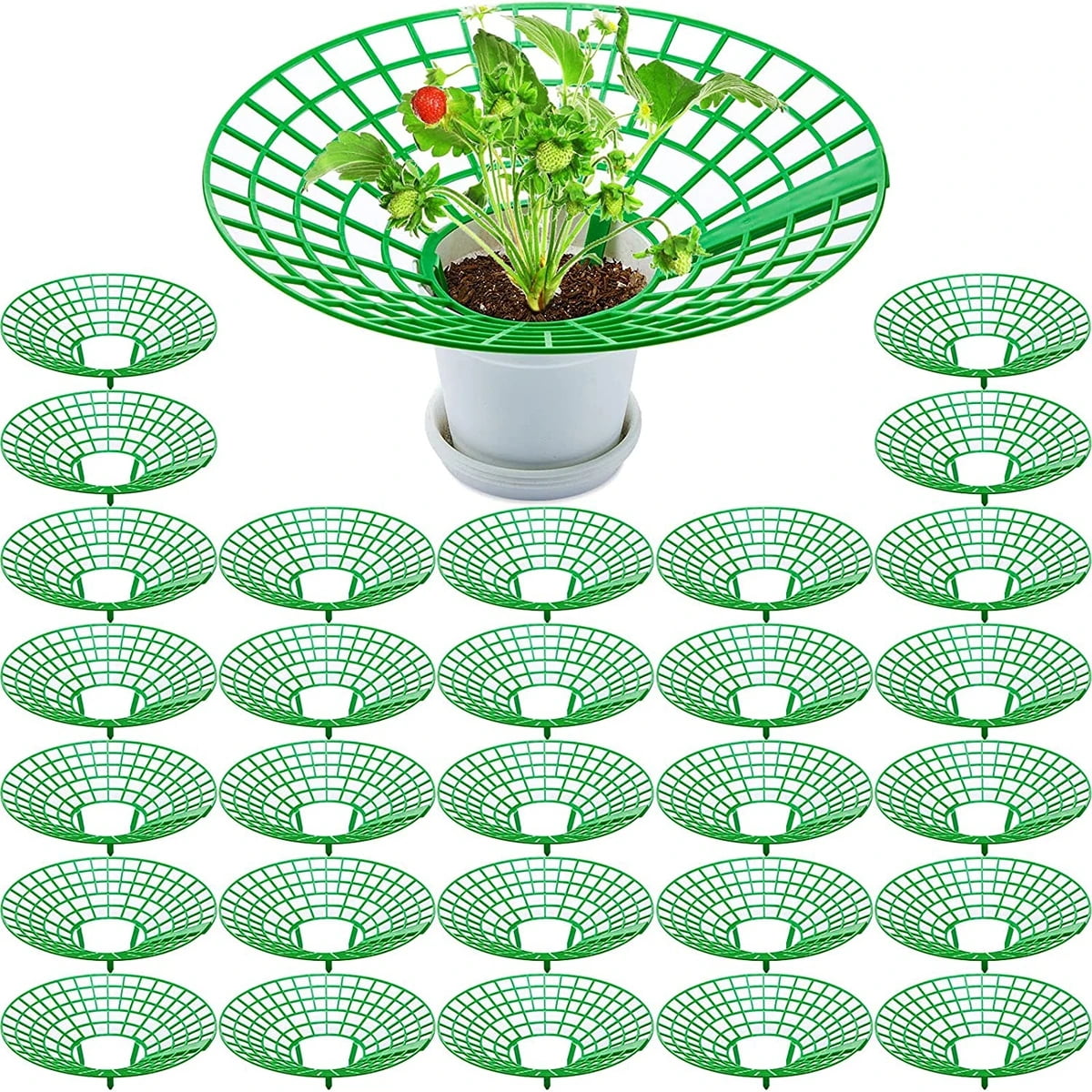 Strawberry Plant Supports with 3 Sturdy Legs Strawberry Growing Racks ...