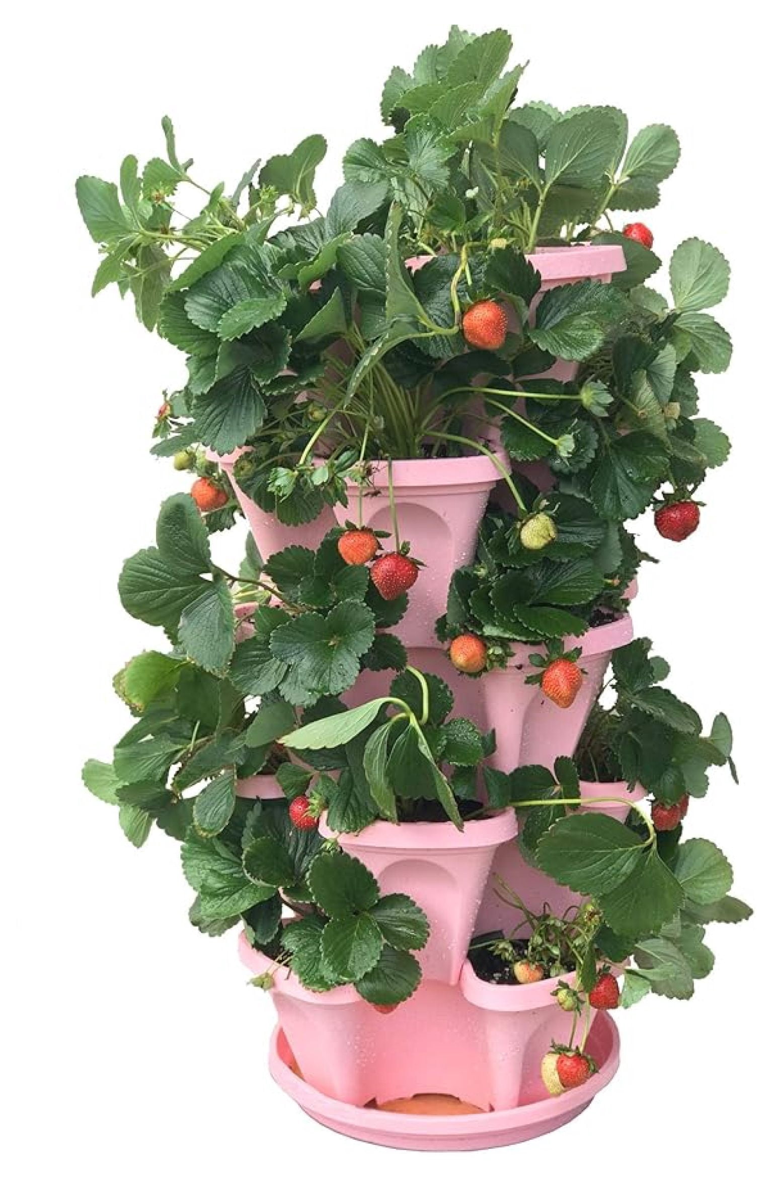 Strawberry Planter 5-Tier Pink - Stackable Garden Pots with Saucer ...