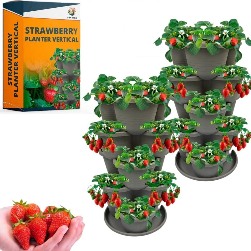 Strawberry Planter Vertical Gardening Stackable Planter Strawberry ...